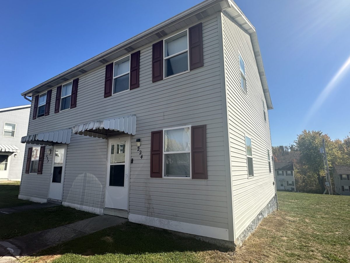 Menallen Twp mother charged with homicide for death of 2-year-old ...